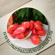 Иконка канала Марина Зотова Томаты