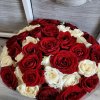 Иконка канала Моя Семья