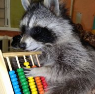 Иконка канала Жизнь одного маленького Енота Rakel