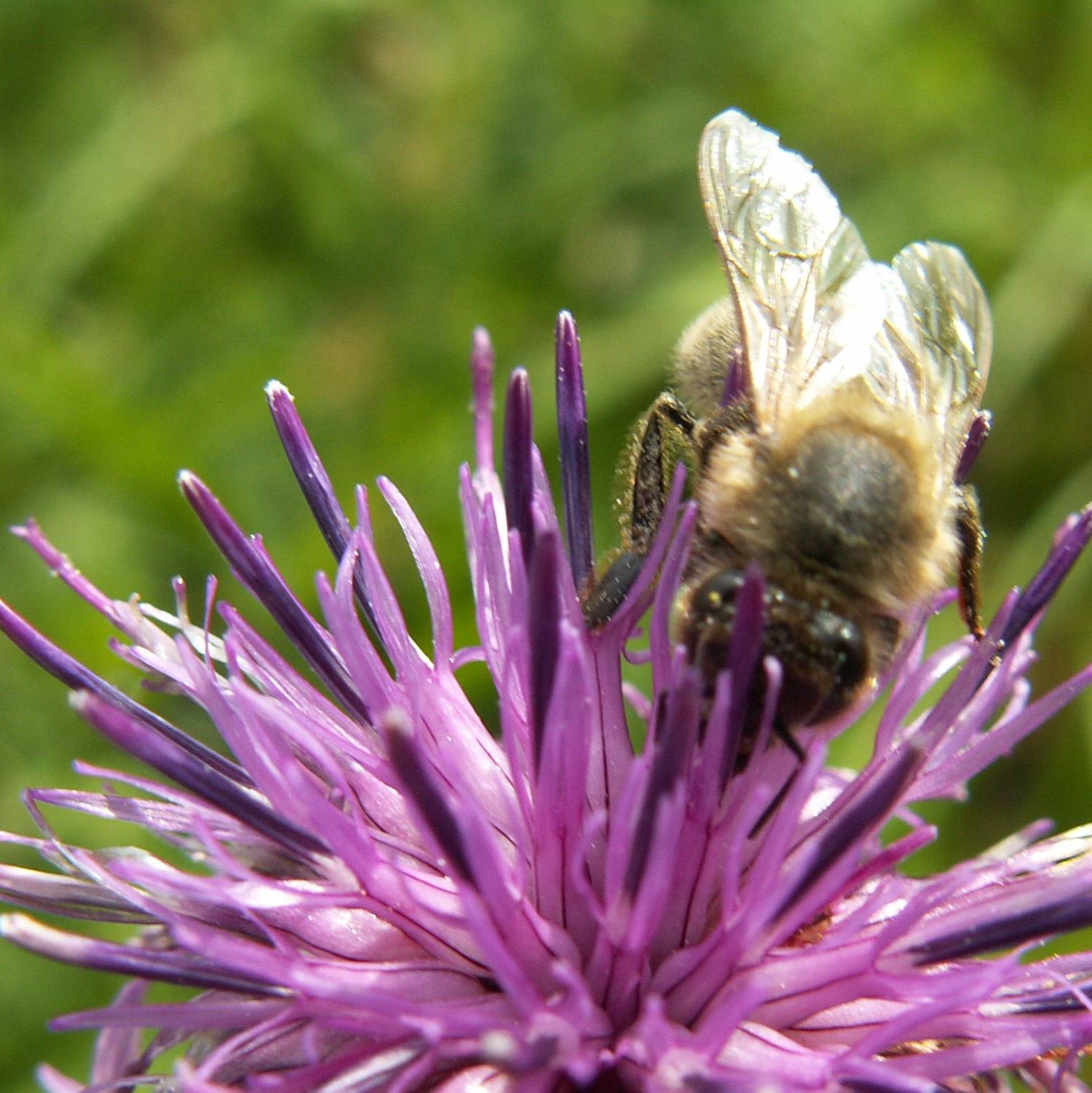 Иконка канала УДАВ