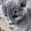 Иконка канала Дима 174