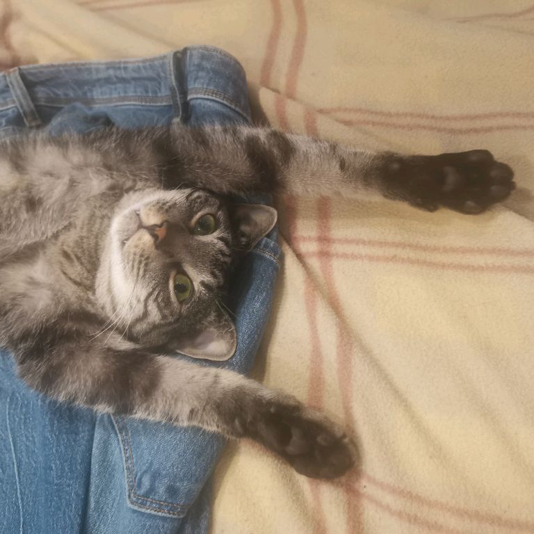 Иконка канала Лысая женщина