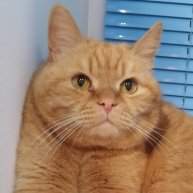 Иконка канала АвтогаRаж