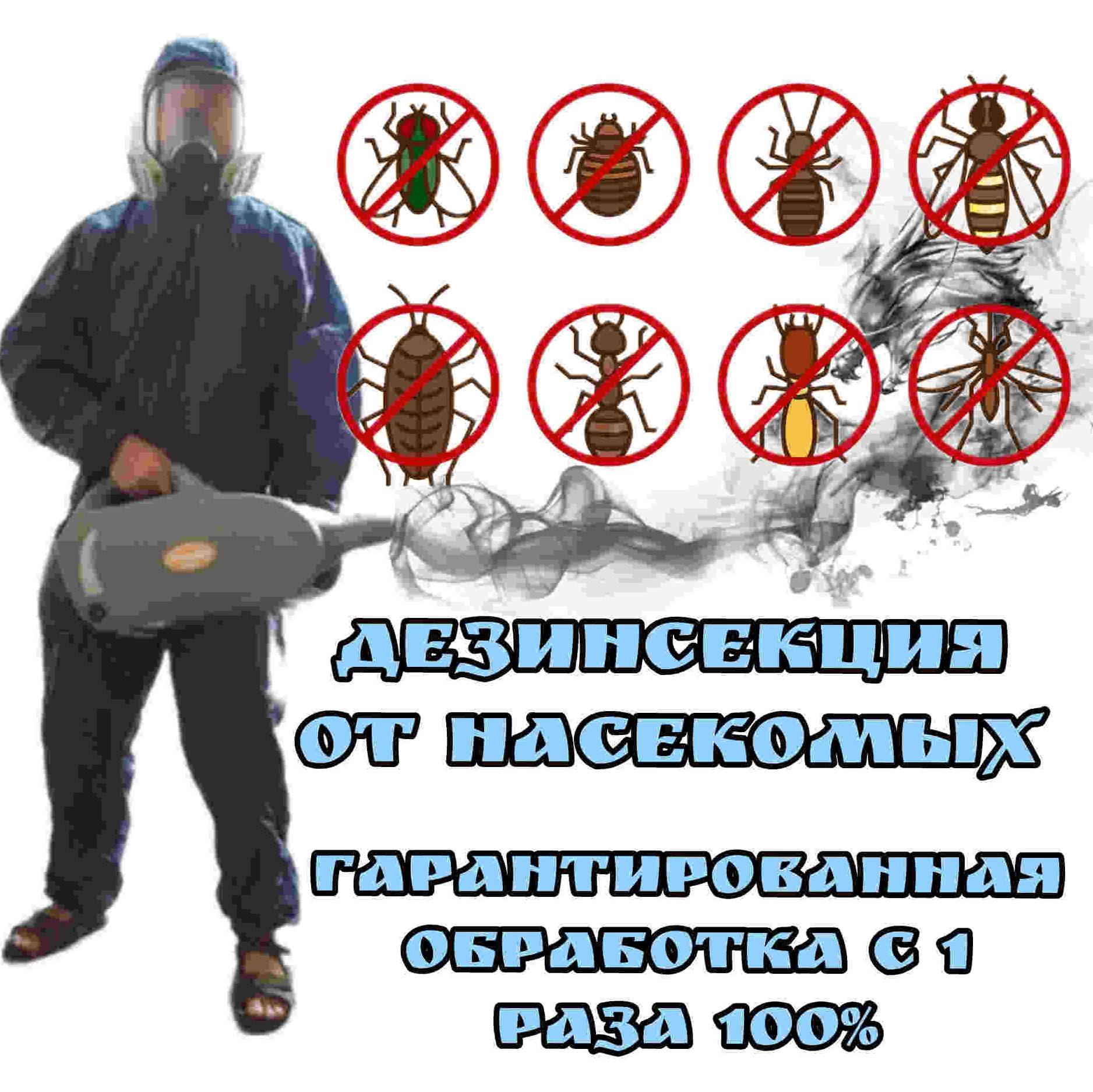 Иконка канала Дезинсекция Дератизация и Дезинфекция Фортуна-Дез