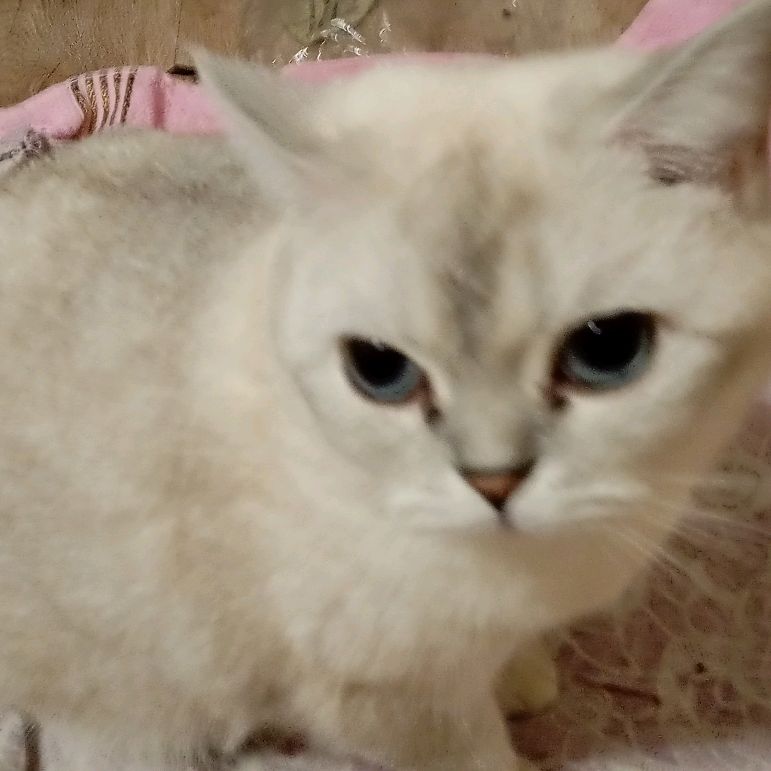 Иконка канала rutube_account_19104367