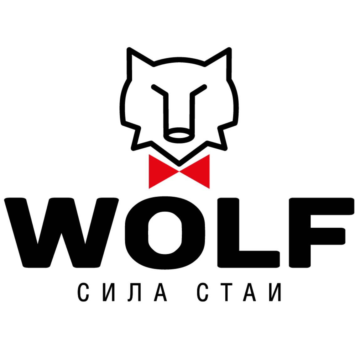 Иконка канала Wolf Consult — цифровое агентство