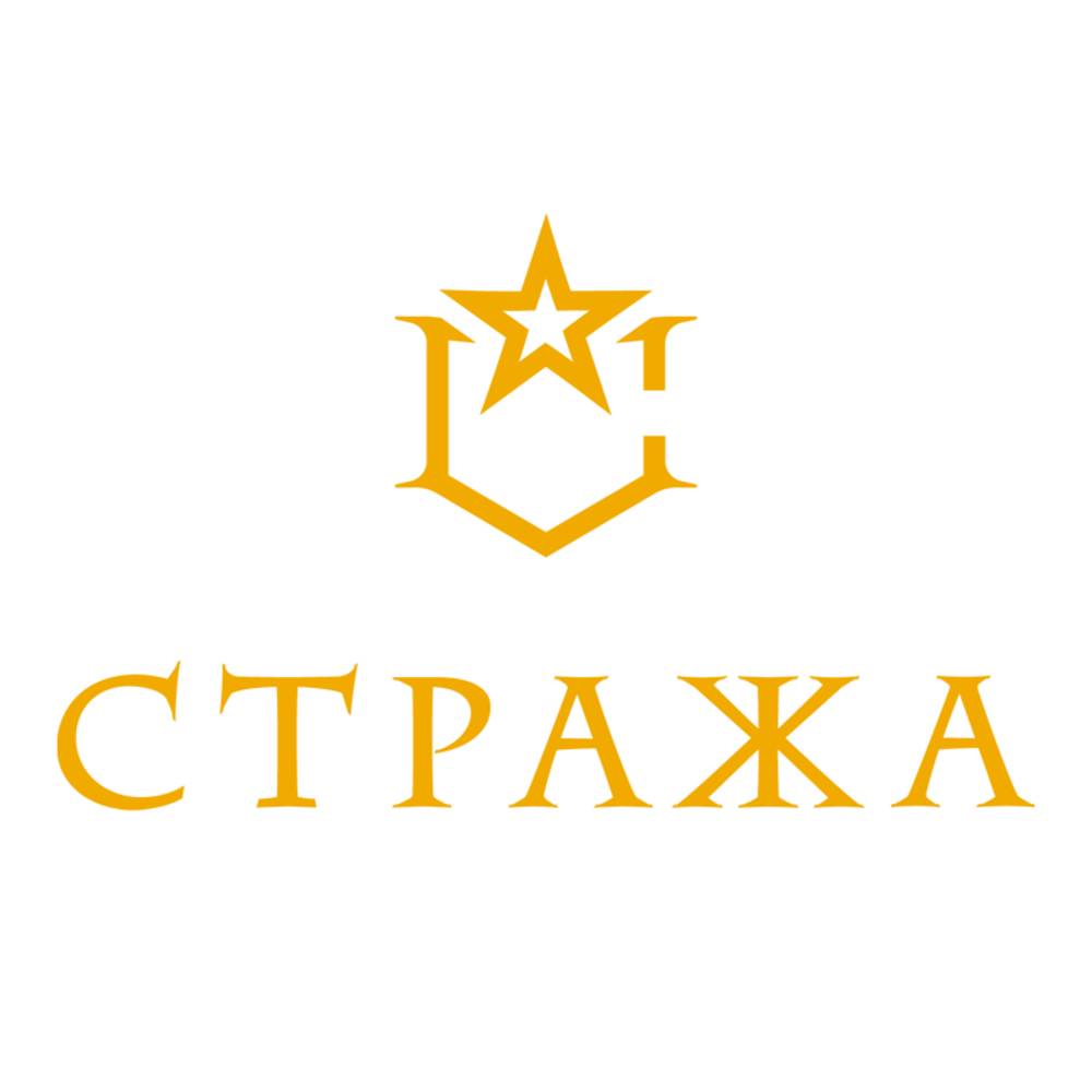 Иконка канала Система контроля обходов Стража