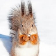 Иконка канала Арина Ануфриева..