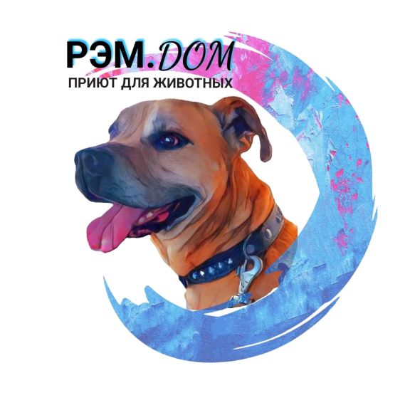 Иконка канала РЭМ.DOM Гор.Ставрополь