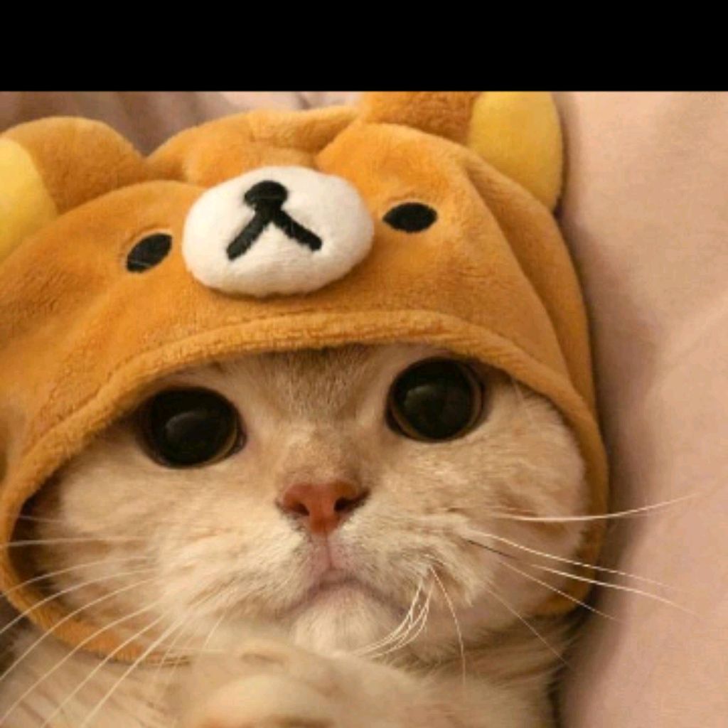 Иконка канала Крутая Соня😎