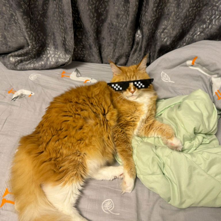 Иконка канала Wert