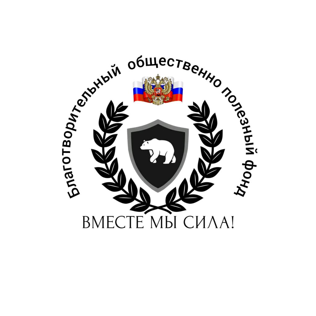 Иконка канала БОПФ "ВМЕСТЕ МЫ СИЛА!"