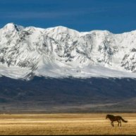 Иконка канала Автоэлектрик 04