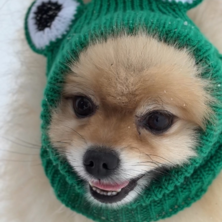 Иконка канала Лучик