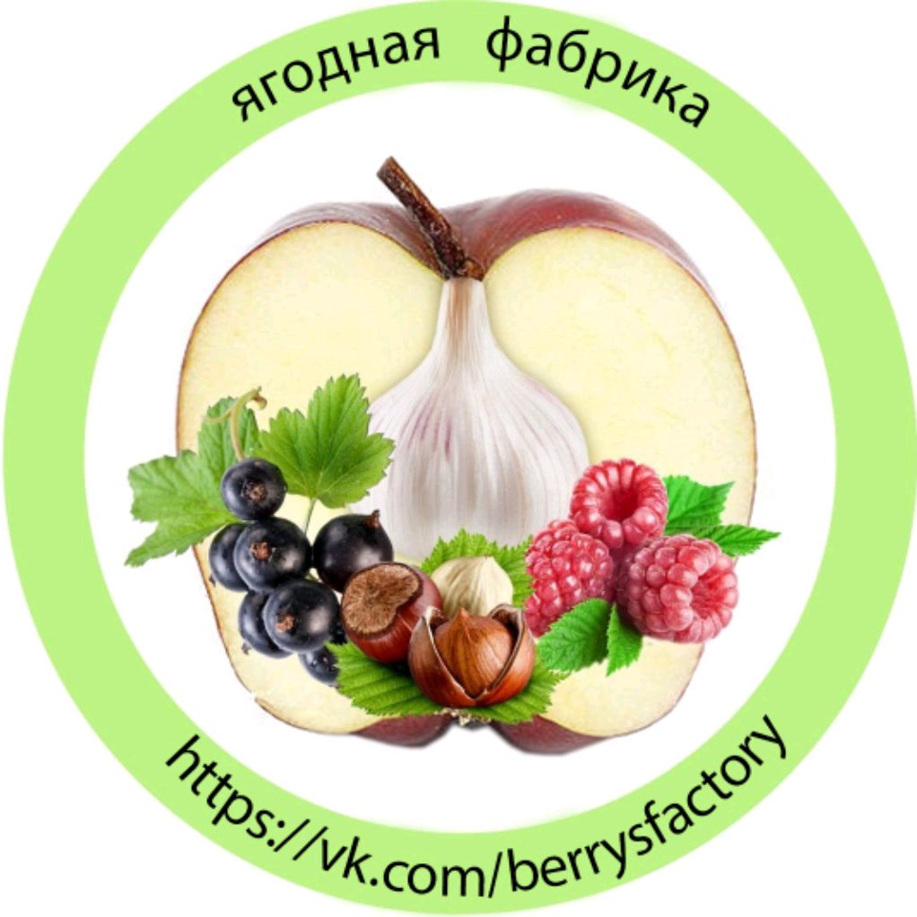 Иконка канала Ягодная Фабрика