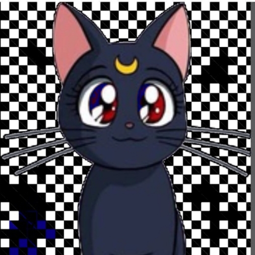 Иконка канала ‧͙⁺˚*･༓кошка_луна°^°☽༓･*˚⁺⭐🌌🖤😺