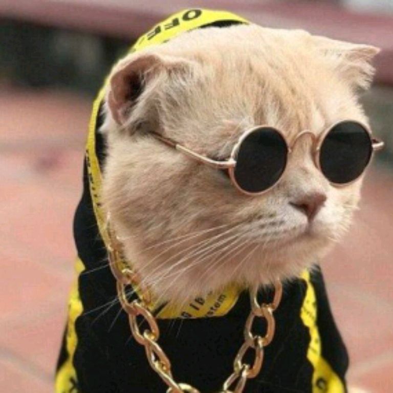 Иконка канала Catplay_YT