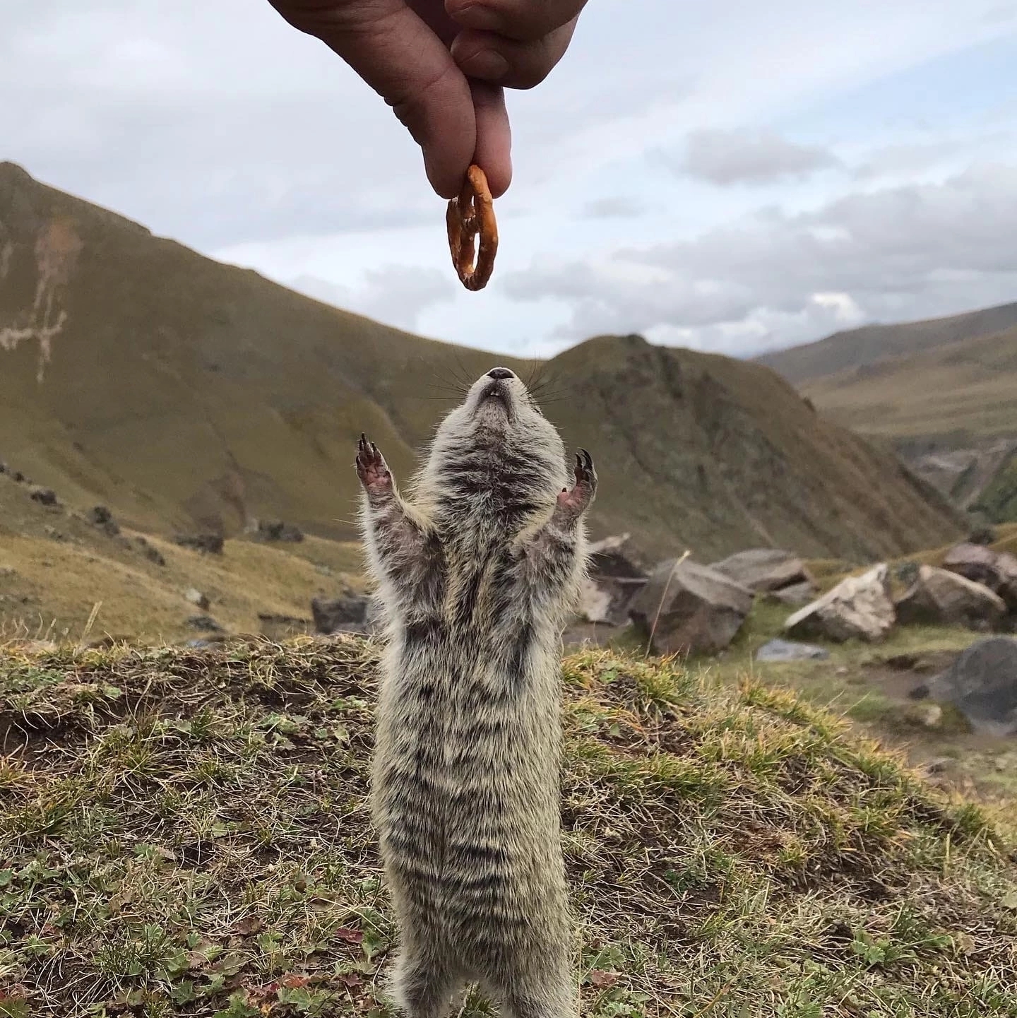 Иконка канала Kriokamera