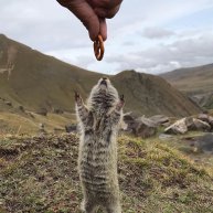 Иконка канала Kriokamera