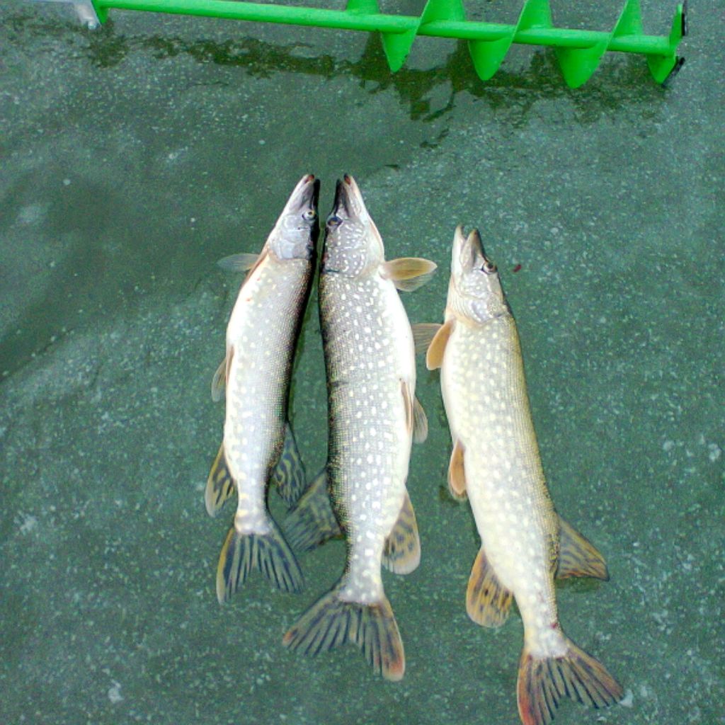 Иконка канала Рыбалка в Зимний период На Жерлицы