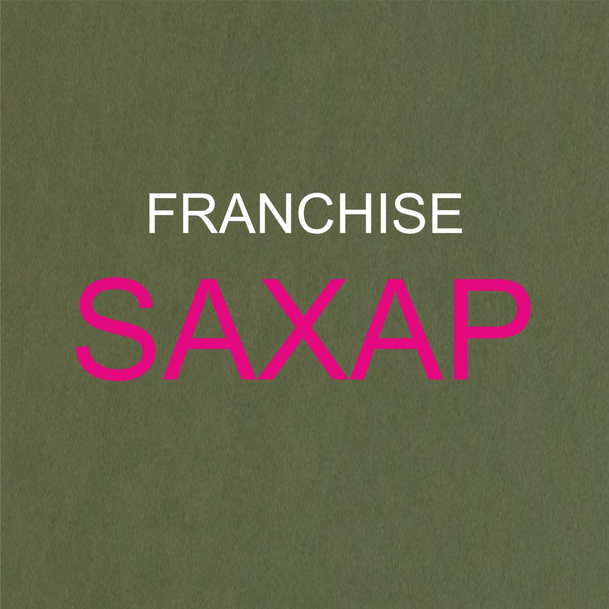 Иконка канала Франшиза международной сети Saxap