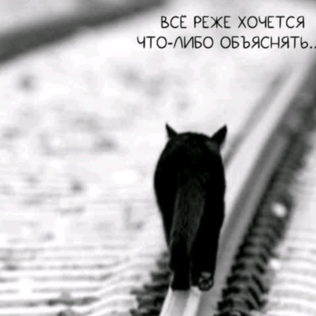 Иконка канала Show must go on ✌