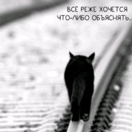 Иконка канала Show must go on ✌