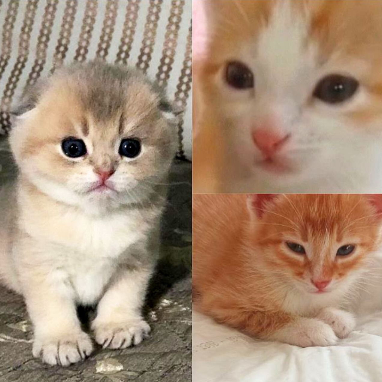 Иконка канала АФОНИКС