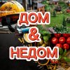 Иконка канала Дом&Недом