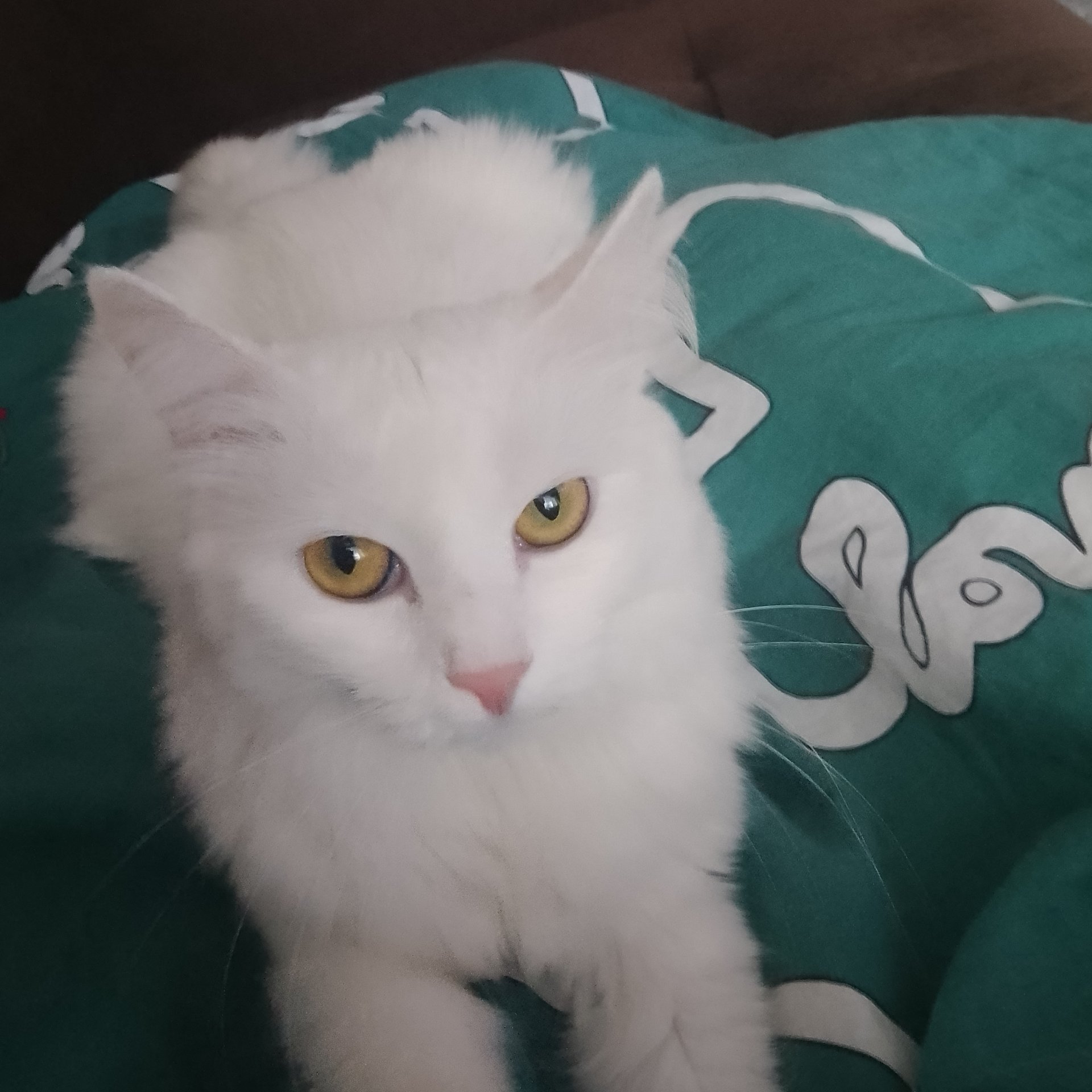 Иконка канала Снежа123