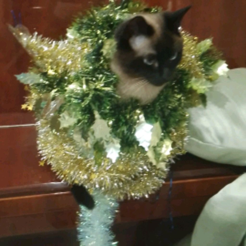 Иконка канала channel57285461