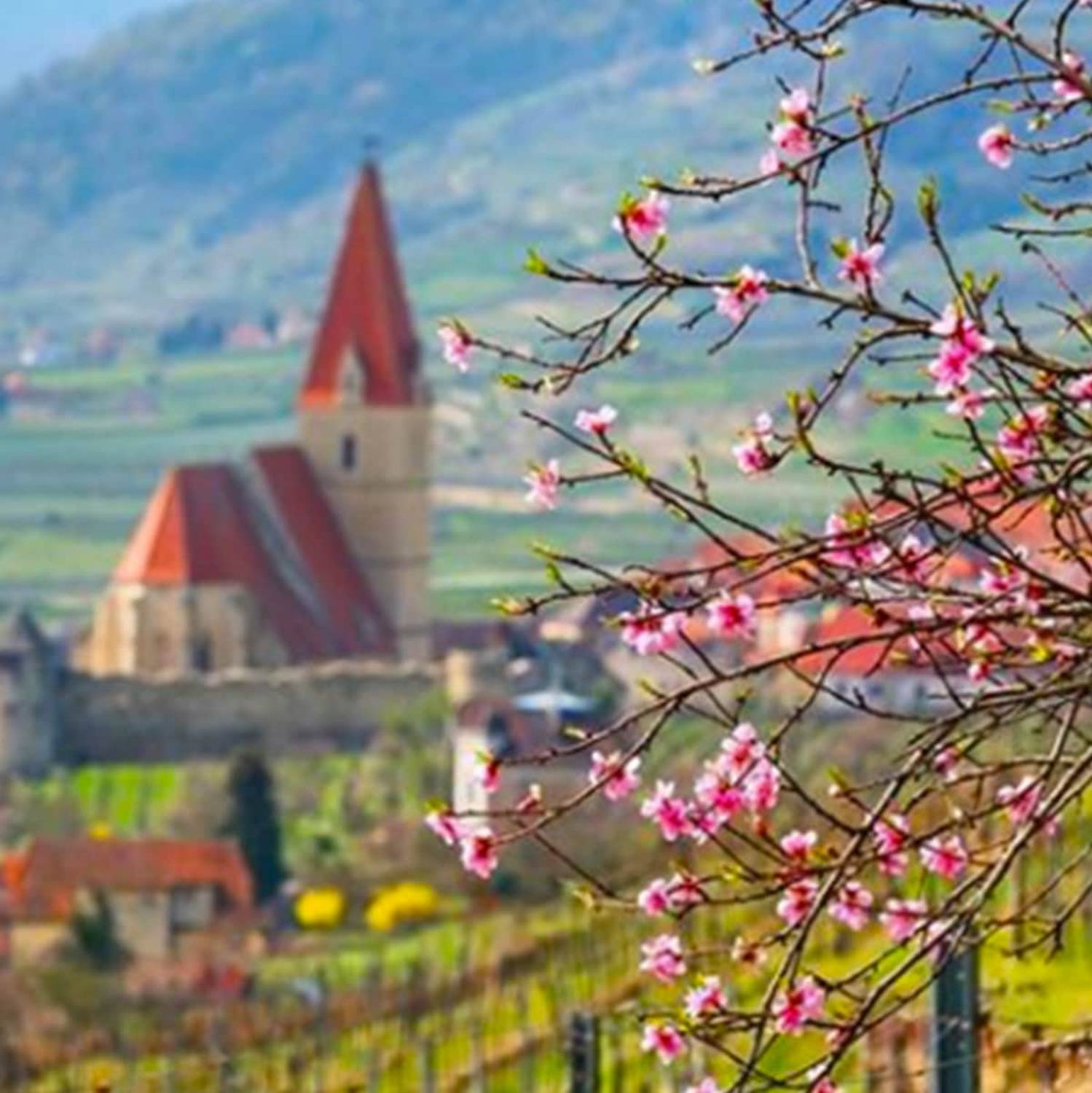 Иконка канала Deutsch mit Liebe