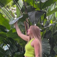 Иконка канала ART OF PLANTS