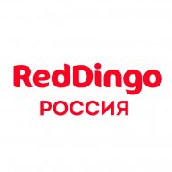 Иконка канала RedDingo