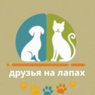 Иконка канала ДРУЗЬЯ НА ЛАПАХ :)