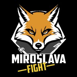 Иконка канала MiroslavaFight