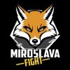 Иконка канала MiroslavaFight