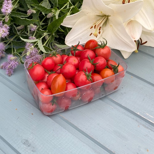 Иконка канала Готовим еду дома!