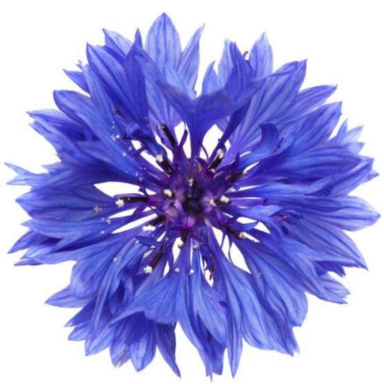 Иконка канала Васильева Виктория НВР 86