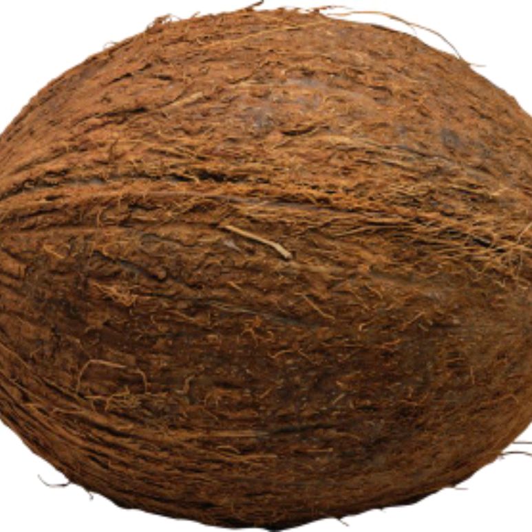 Иконка канала Cat_boom