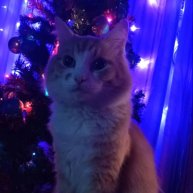 Иконка канала Мы Из Сибири Лилия