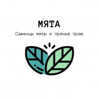 Иконка канала МЯТА|ПРОДАЖА САЖЕНЦЕВ МЯТЫ