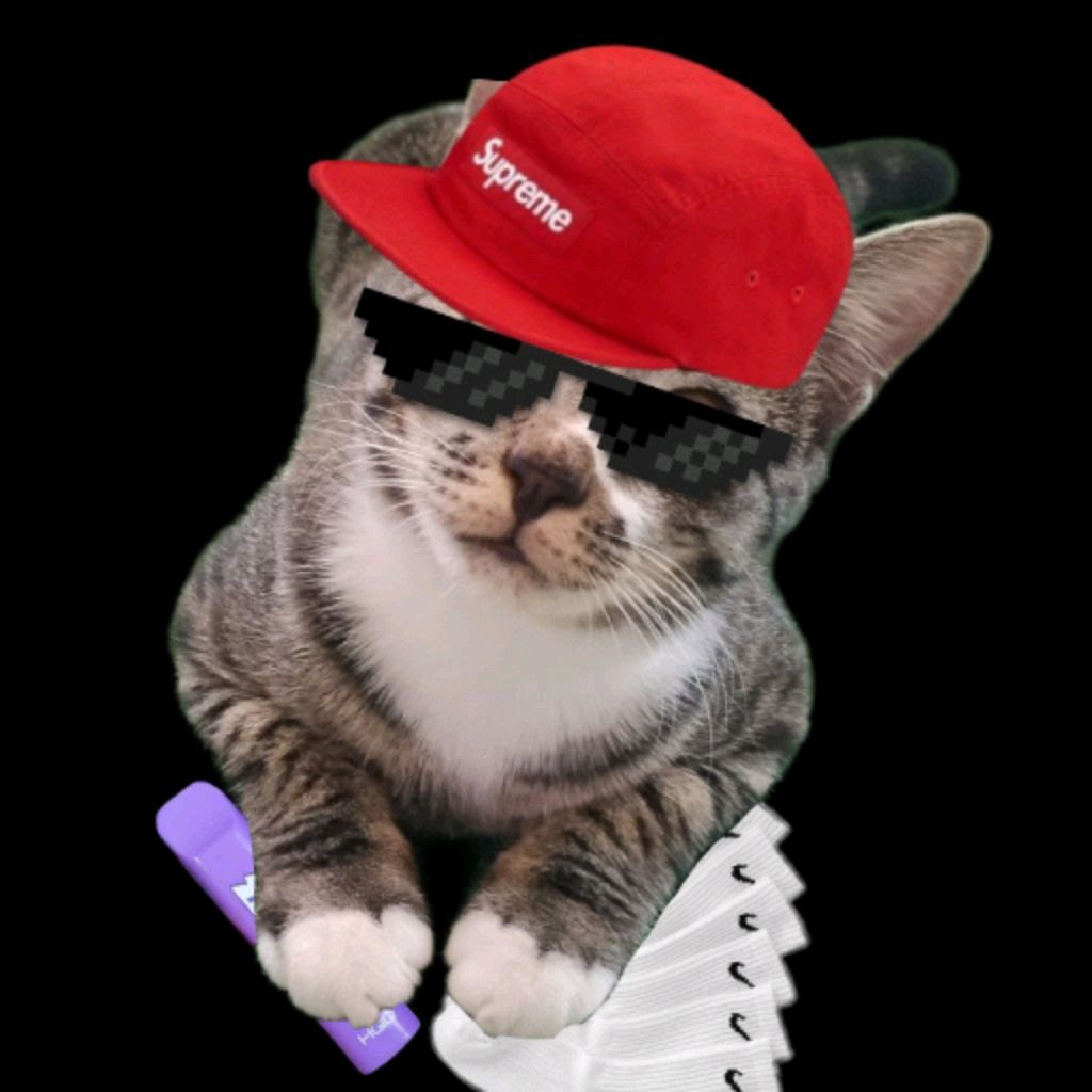 Иконка канала Siency