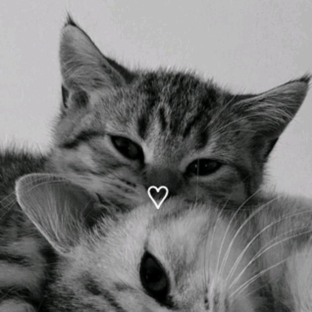 Иконка канала Танечка❤