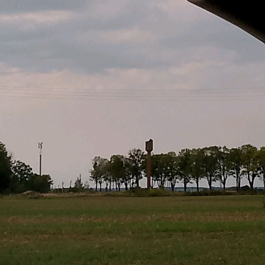 Иконка канала Калининградские Копатели