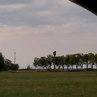 Иконка канала Калининградские Копатели