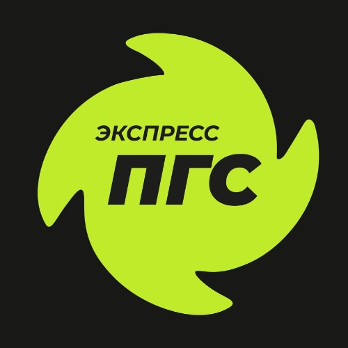Иконка канала Экспресс ПГС