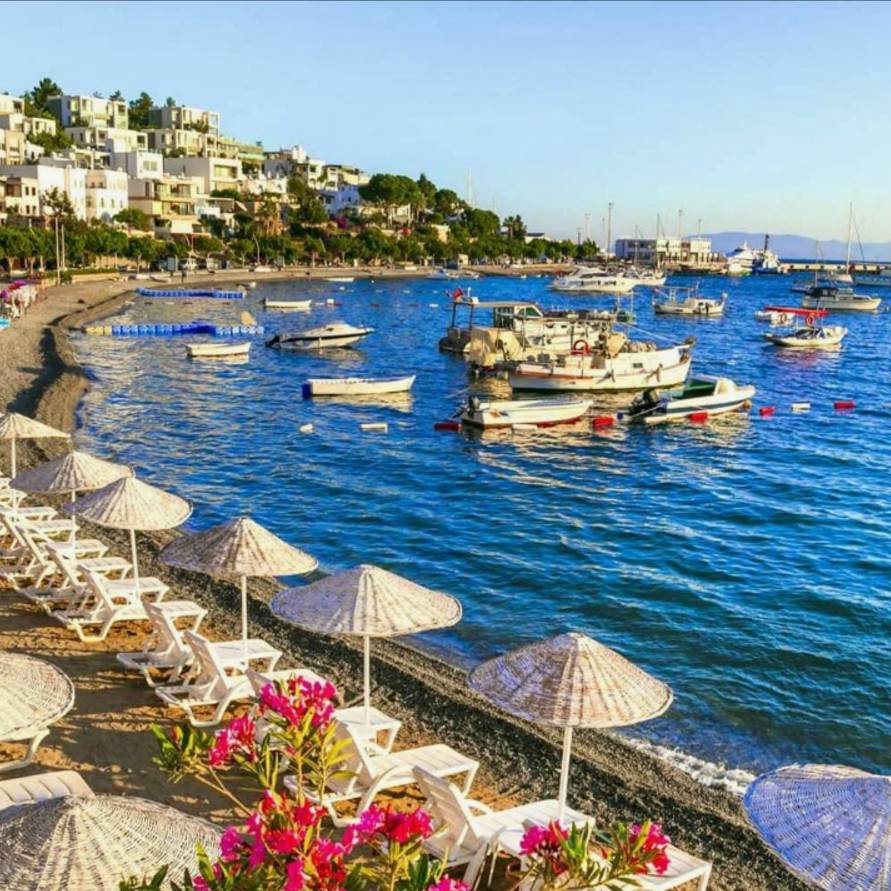 Иконка канала Лучшие туры