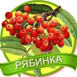 Иконка канала МБДОУ"Детский сад № 19"Рябинка" Рубцовск