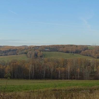 Иконка канала ДЕРЕВНЯ НА ХОЛМЕ